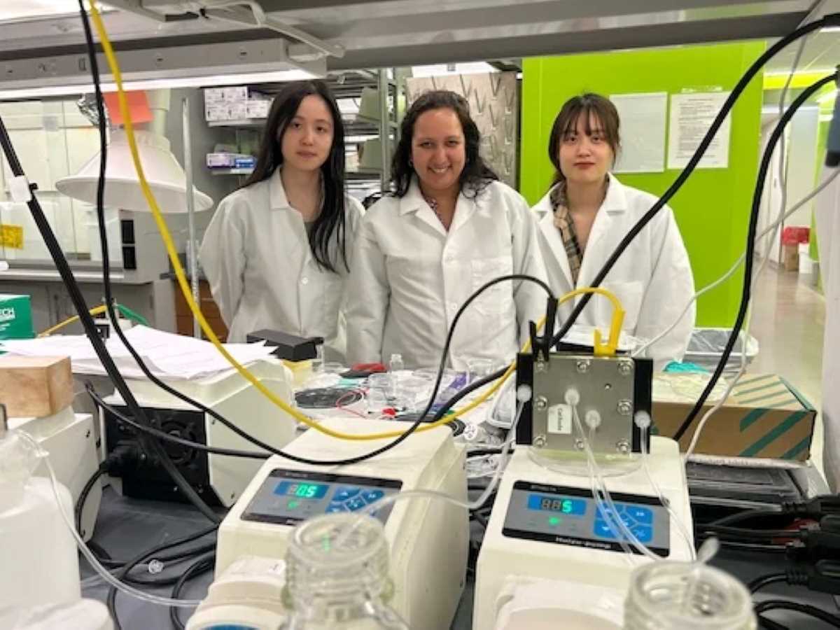 Investigadores de Rice desarrollan un innovador reactor electroquímico para la extracción de ...